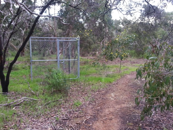 The mystery of the forest cage | Curious Venn